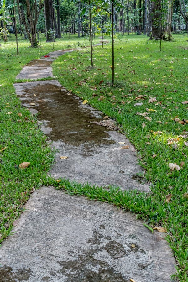 Concrete Pathway in garden stock image. Image of nature - 72280207