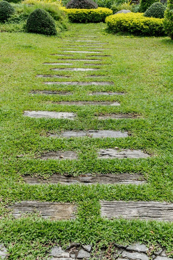 Concrete Pathway in garden stock photo. Image of road - 72527818