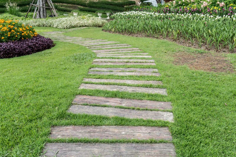 Concrete Pathway in garden stock photo. Image of leaf - 74433820