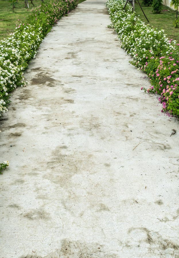 Concrete Pathway in garden stock image. Image of field - 75878393