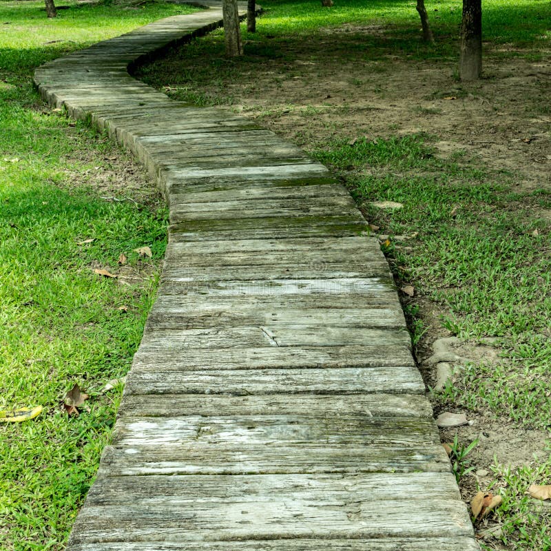 Concrete Pathway in garden stock image. Image of beautiful - 114379661
