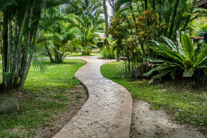 Concrete Pathway in garden stock photo. Image of walkway - 78849368