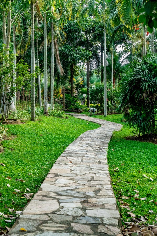 Concrete Pathway in garden stock photo. Image of path - 103126308