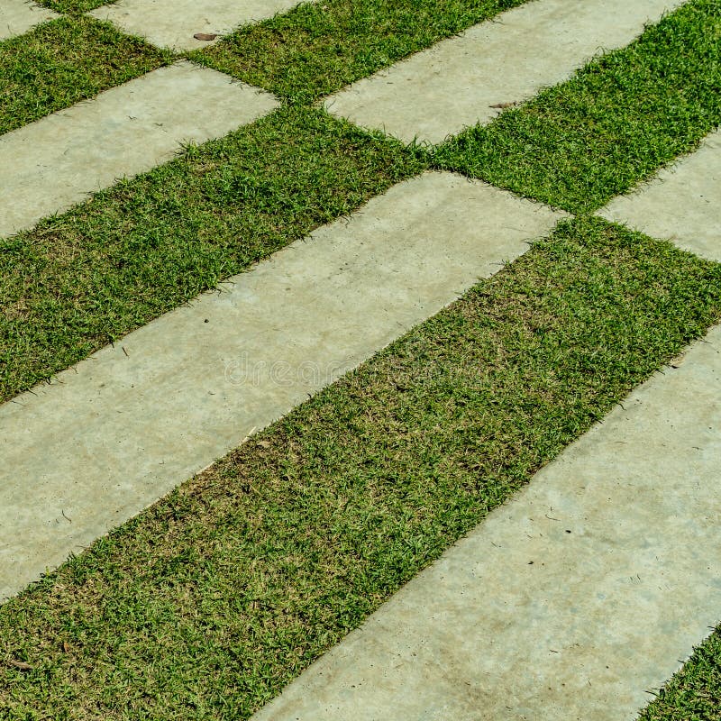 Concrete Pathway with Green Grass Stock Photo - Image of background ...