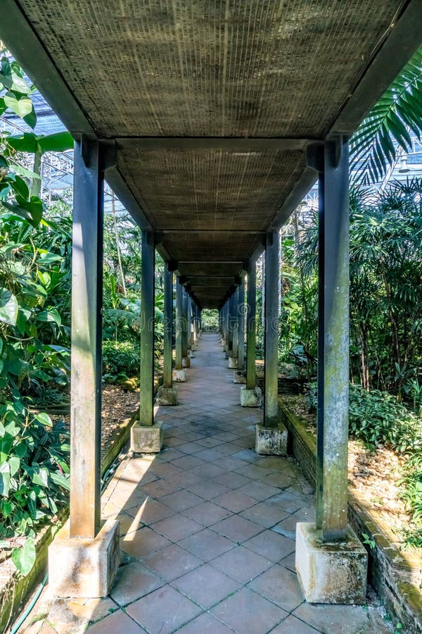Pathway in park stock photo. Image of scenic, tree, sunny - 96722564