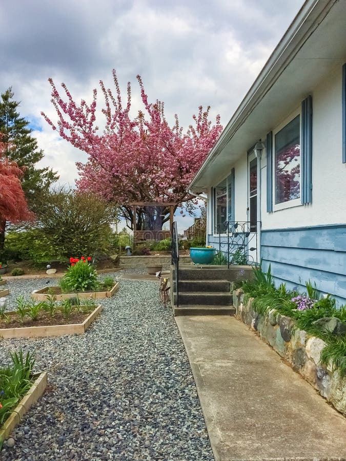 Concrete Pathway Over Front Yard of Residential House Stock Photo ...