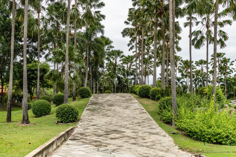 Concrete Pathway in park stock image. Image of grass - 81605009