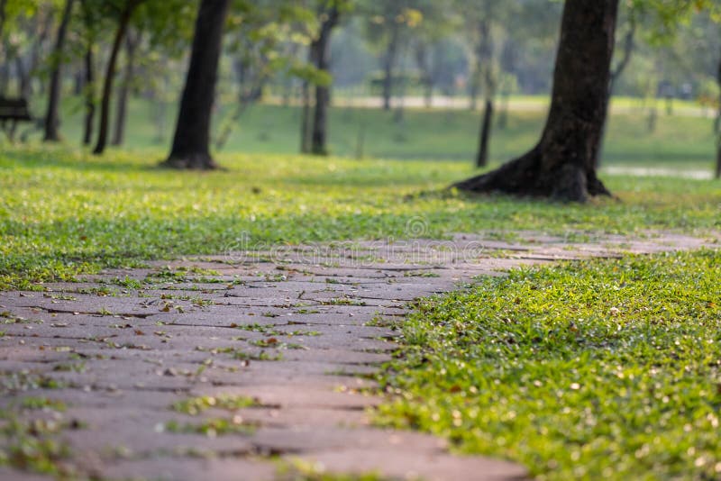 Concrete Pathway in the Park. Stock Photo - Image of summer, empty ...
