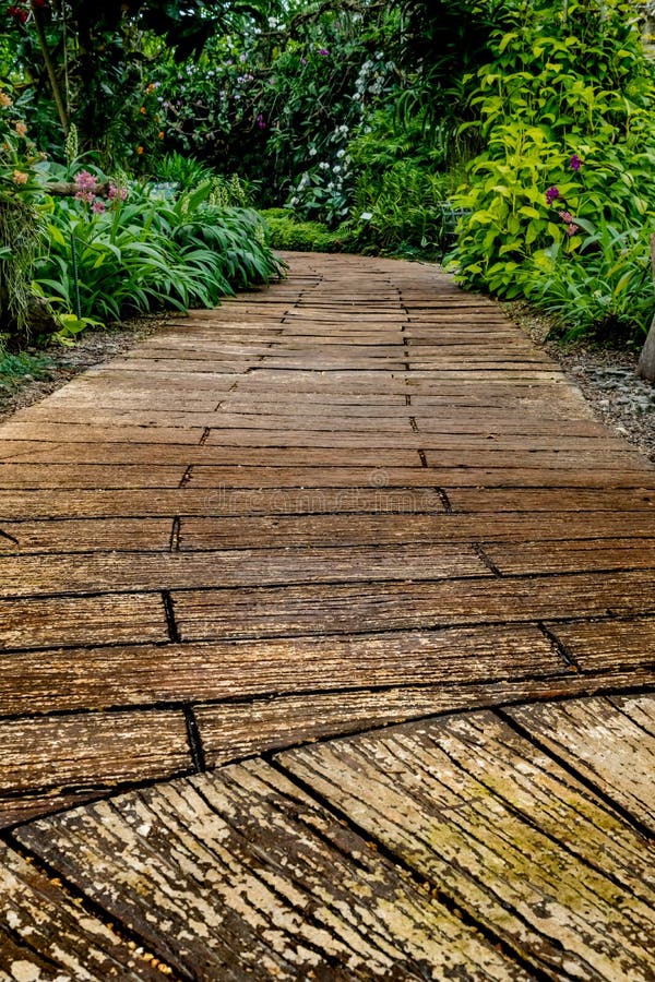 Concrete Pathway in the Park Stock Image - Image of summer, outdoor ...