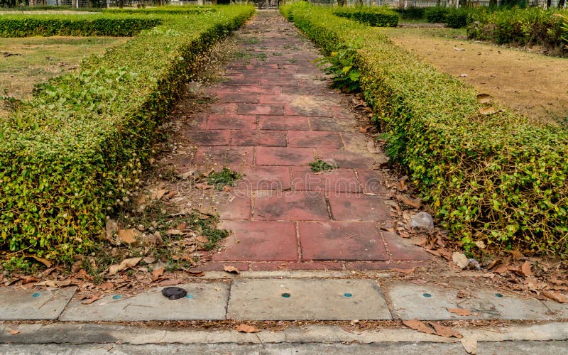 Concrete Pathway in the Park Stock Image - Image of rural, walkway ...