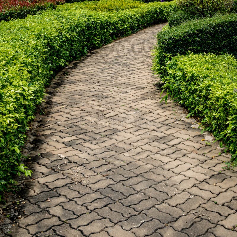 Pathway in park stock photo. Image of lawn, sidewalk - 93382354