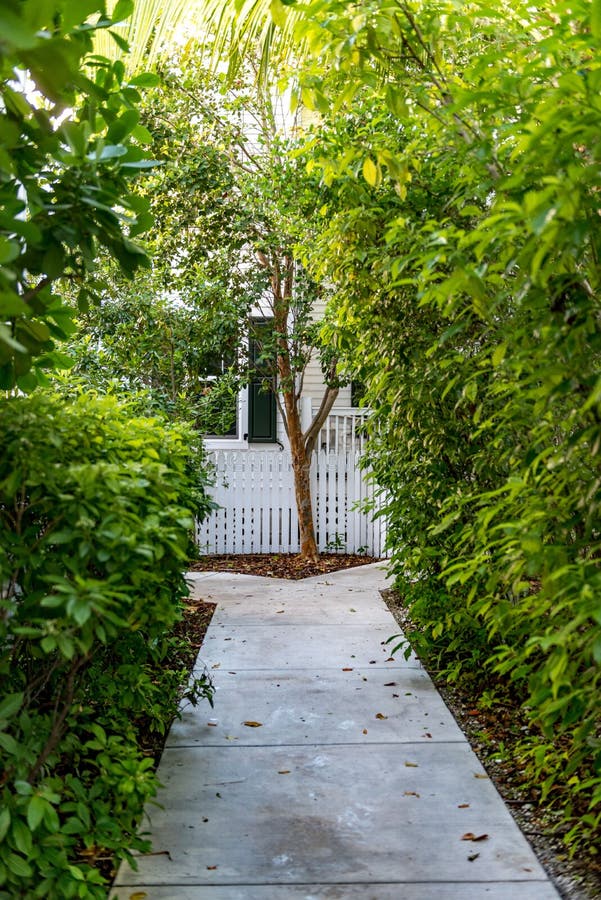 Concrete Pathway Surrounded by Green Trees Editorial Photography ...