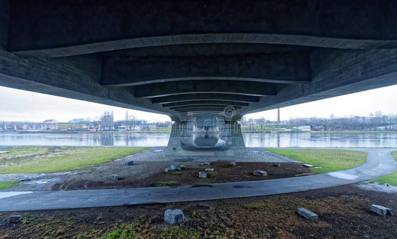 Concrete Pathway Under the Bridge Stock Photo - Image of mammal, home ...