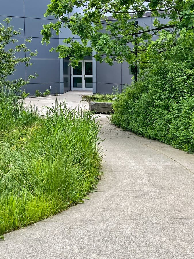 Concrete Paved Pathway To the Office Building Entrance Stock Image ...