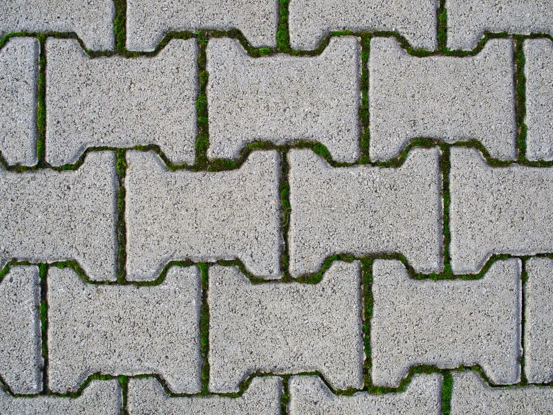47,829 Pavement Grass Stock Photos - Free & Royalty-Free Stock Photos ...
