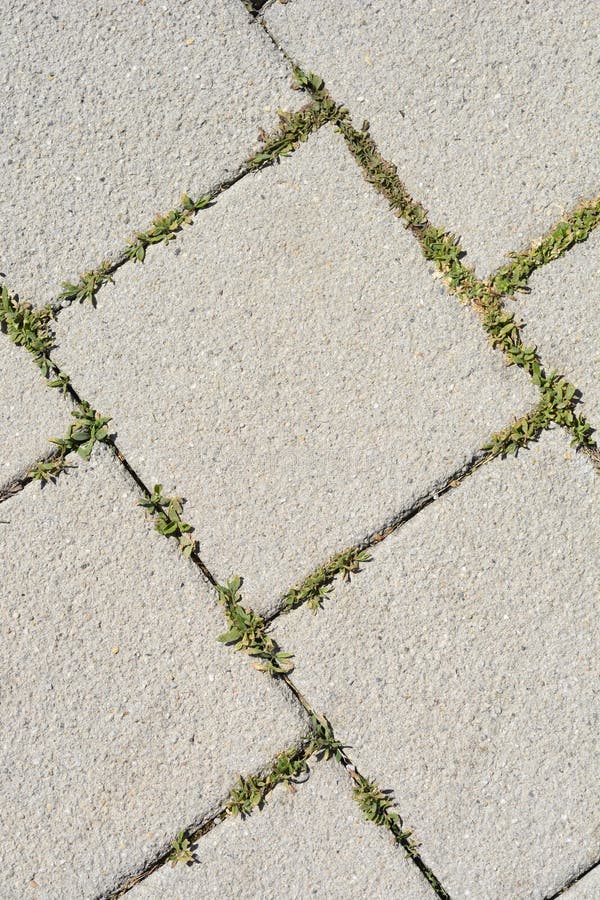 Concrete pavers stock image. Image of pathway, stones - 318607227