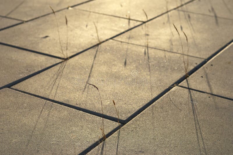 Concrete Eco Paving Stones on a City Street Stock Photo - Image of ...