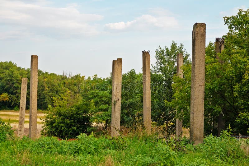 stock photo. Image of tree, pillars, unfinished, abandoned - 253721096