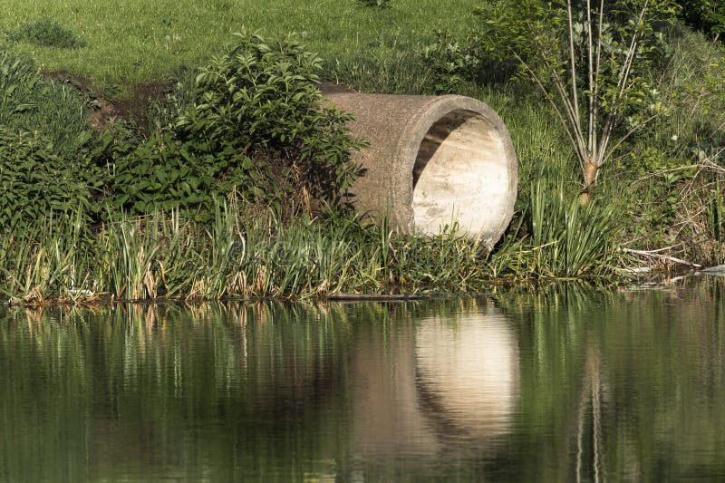Concrete Pipe Rubble Which Water Flows Nature Stock Photos - Free ...