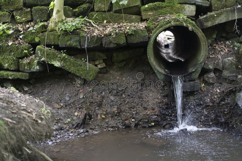 A Concrete Pipe from Which Water Flows in a Dense Summer Forest Stock ...