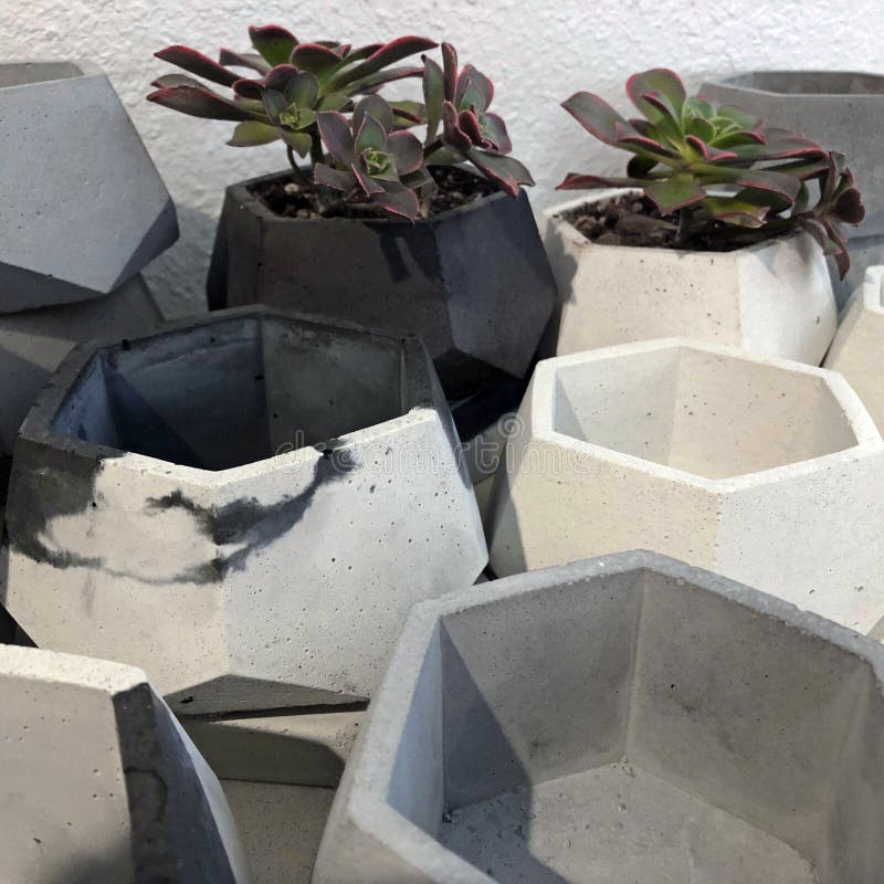 Concrete Pot. Modern Geometric Concrete Planter. Flowerpots Hexagonal ...