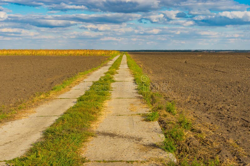 Concrete Road between Agricultural Fields Stock Photo - Image of arable ...