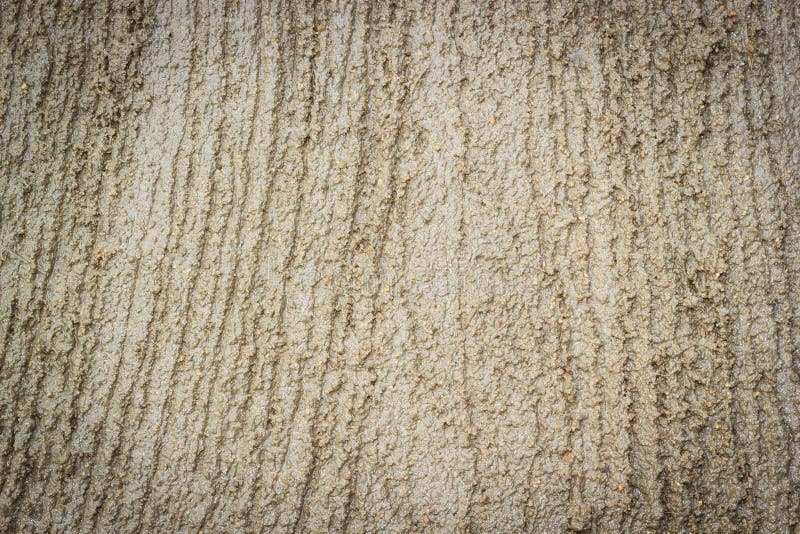 Concrete road texture stock photo. Image of gray, white - 55659970