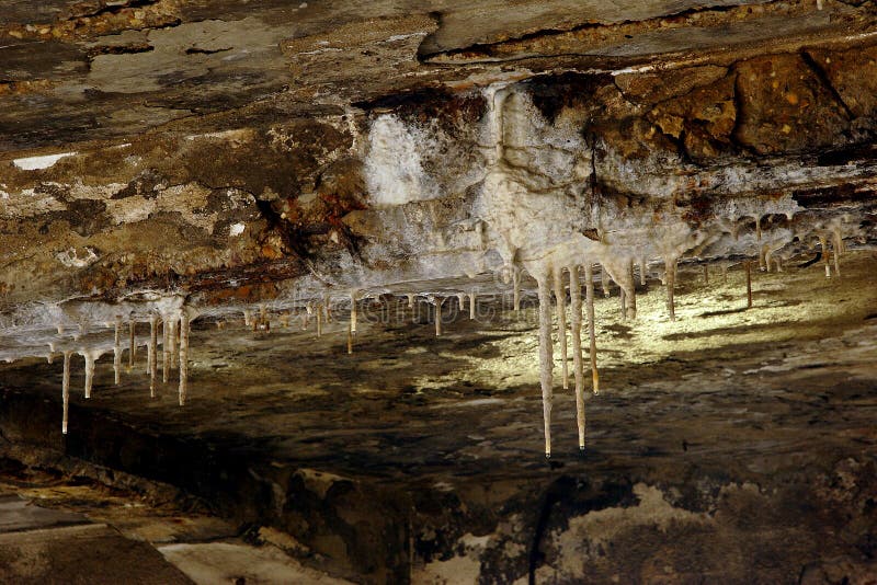 Stalactite on Concrete Inside World War One Bunkers in Verdun Stock ...
