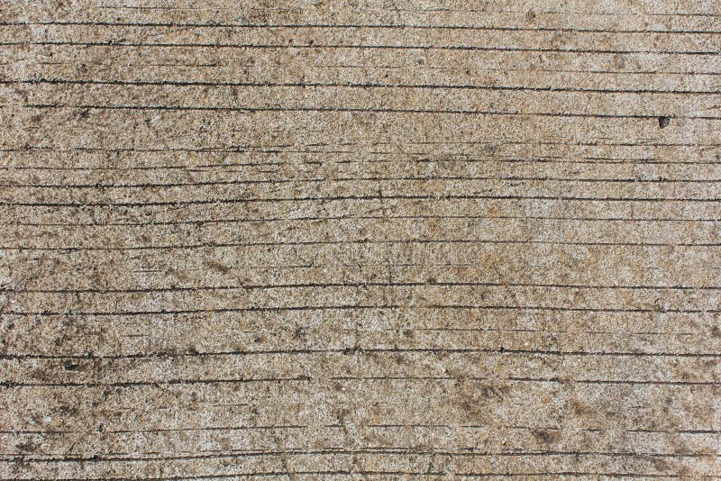 Rough Finish Empty Room Witn Concrete Walls and Floor. without Door ...