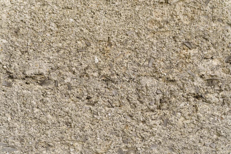 Concrete or Sandy Gray Fence Surface. Solid Background Stock Image ...