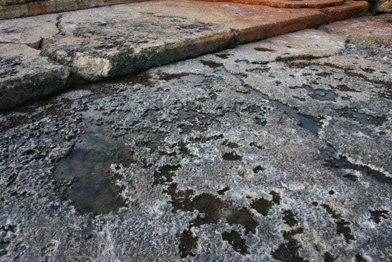 916 Concrete Puddle Texture Stock Photos - Free & Royalty-Free Stock ...