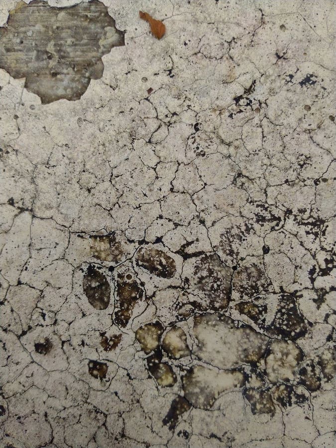 106 Cracked Wall Fissure Crack Earthquake Effect Fracture Texture Stock ...