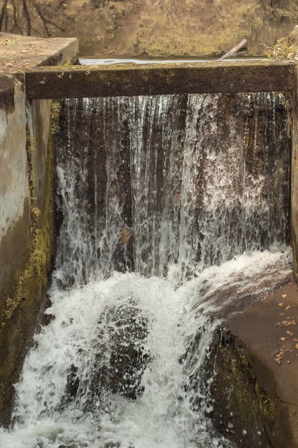 Water Flowing through the Rocky River Stream in the Forest. Stock Image ...