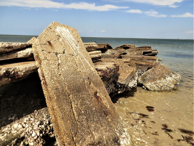 Barnacles on Concrete Pier Poles Stock Image - Image of sandy, beach ...