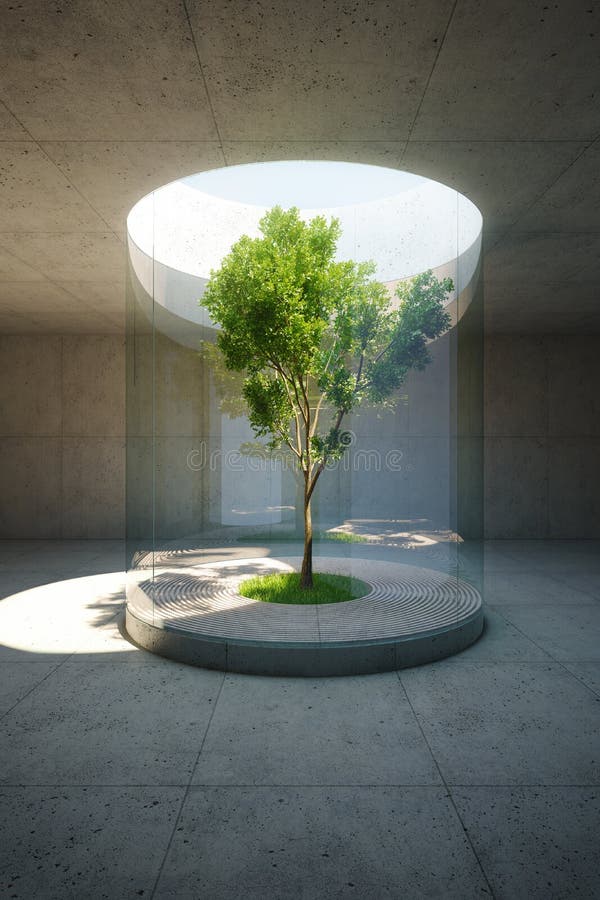 Concrete Space Interior with Tree Inside Stock Illustration ...