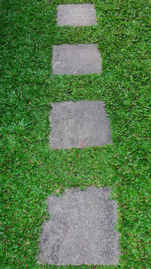 Concrete Square Shape Stepping Stone Pathway Laying on the Grass at ...