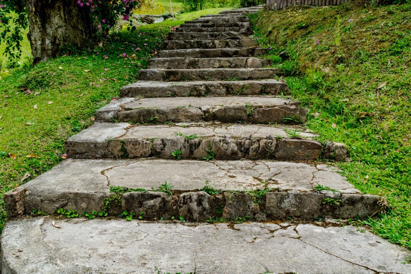 Concrete stair in the park stock photo. Image of gray - 91675862