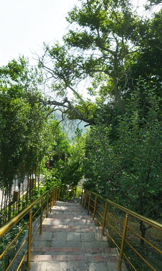 A Concrete Staircase Under the Trees Stock Image - Image of nature ...