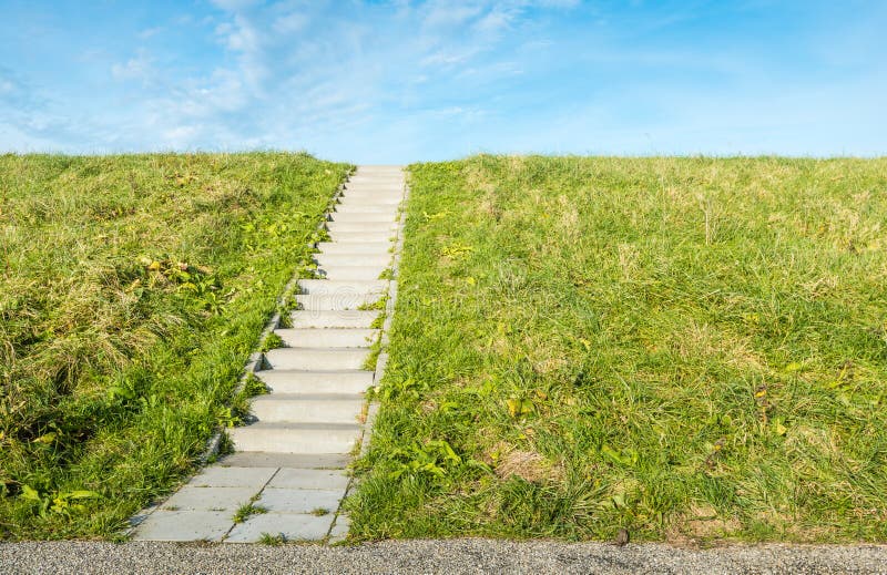 Concrete Stairs between the Grass Stock Image - Image of flight ...