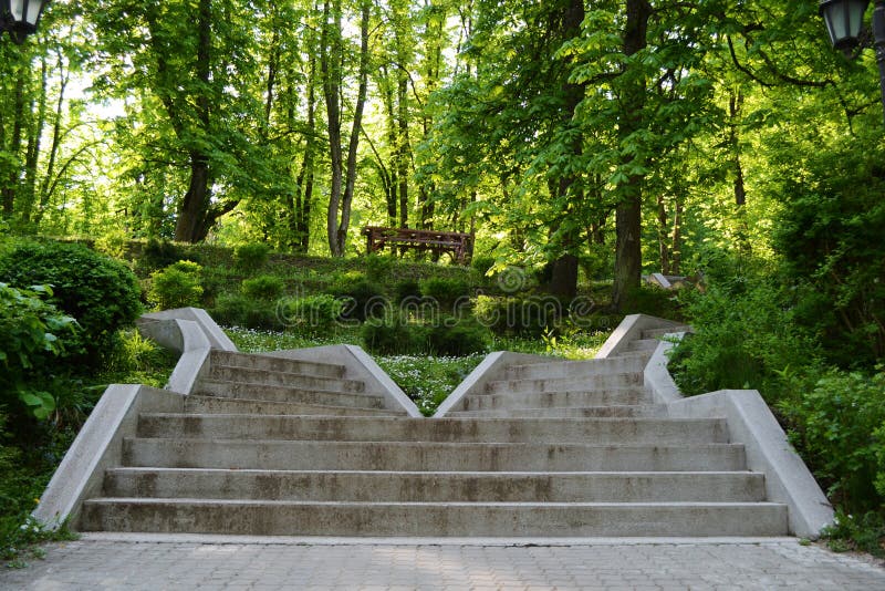 Concrete Stairs in the Park Stock Image - Image of abstract, park ...