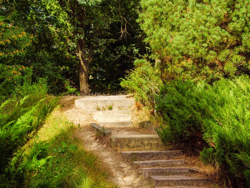 Concrete Steps Leading into the Bushes of the Park Stock Photo - Image ...
