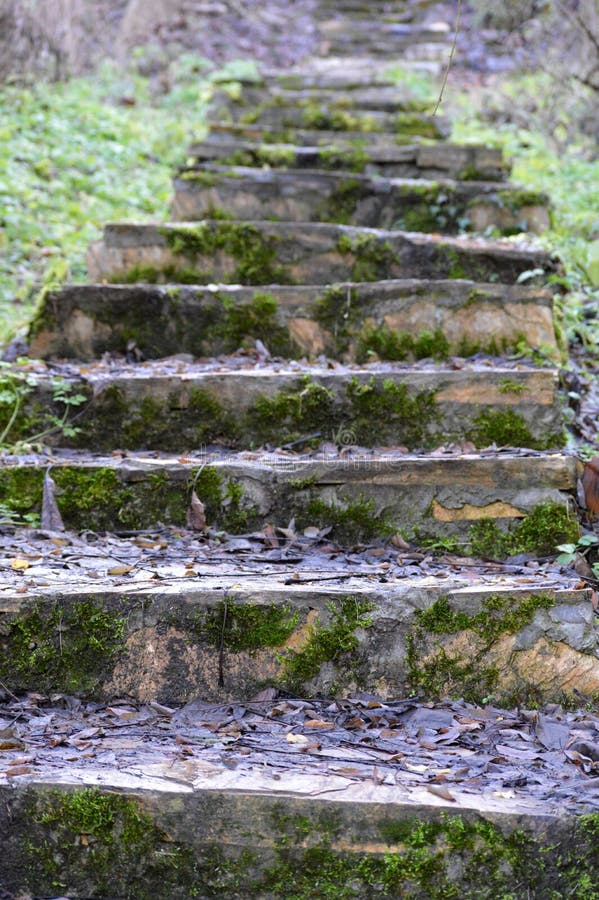 Concrete Steps Overgrown with Moss Stock Image - Image of landscape ...