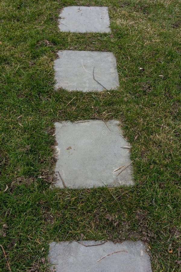 Concrete Steps Pathway on Green Lawn Meadow Stock Image - Image of ...