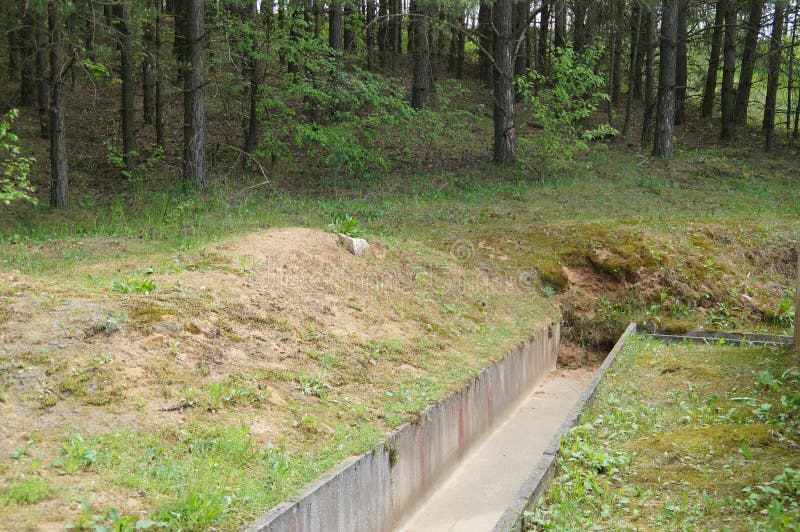 Concrete Storm Channel Sewage System Stock Image - Image of forest ...