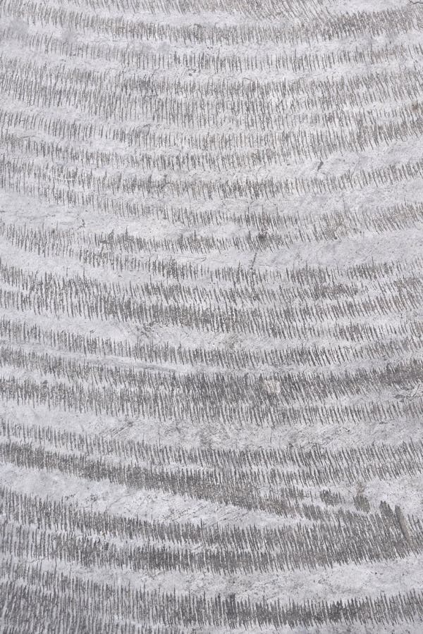 Concrete striped texture. stock photo. Image of material - 54866586