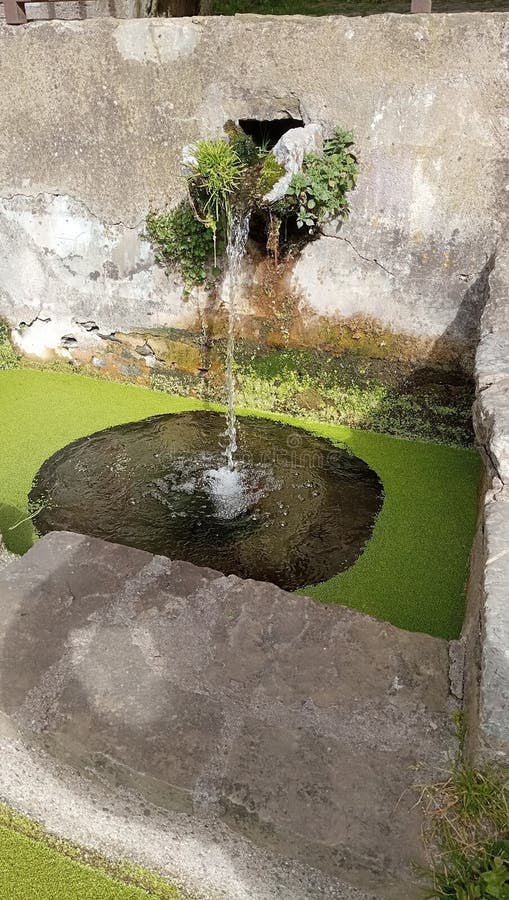 Perfect Cycle, the Story of Water Stock Photo - Image of basin, algae ...