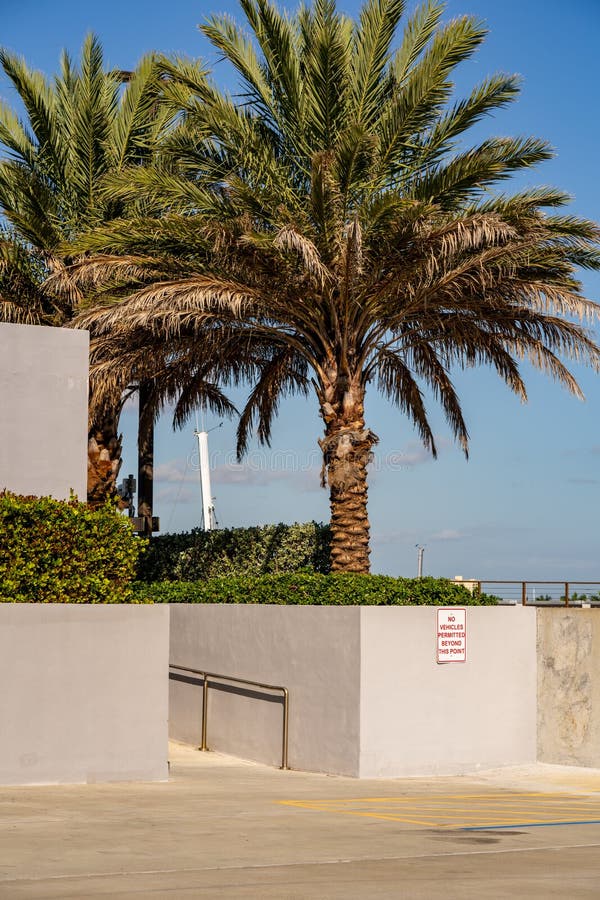 Concrete Structure with Palm Trees Stock Image - Image of structure ...