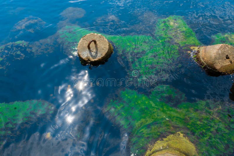 Concrete Structures in the Water Stock Image - Image of reef, rock ...