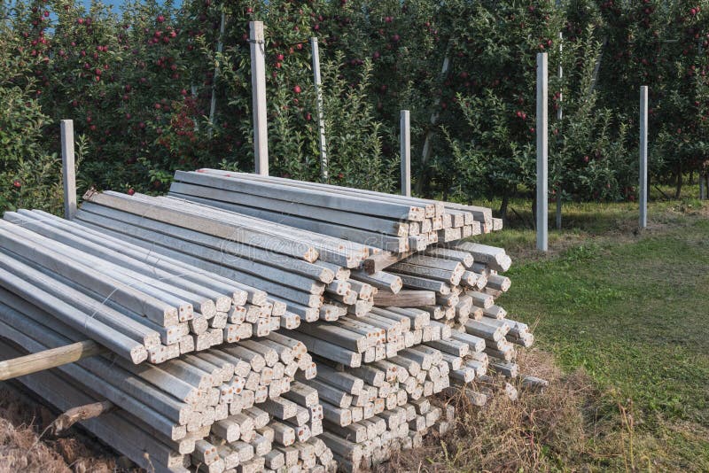 Concrete Support for Fruit Growing and Agriculture Stock Image - Image ...