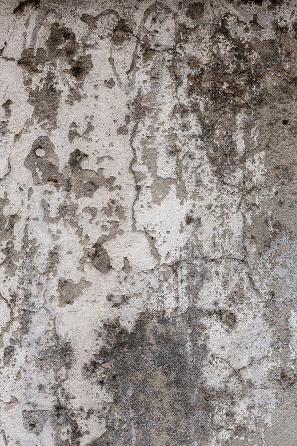 Concrete textures quality stock photo. Image of textures - 371209122